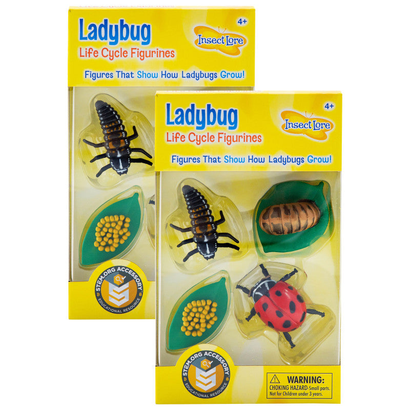 INSECT LORE - Ladybug Life Cycle Stages, 4 Per Set, 2 Sets