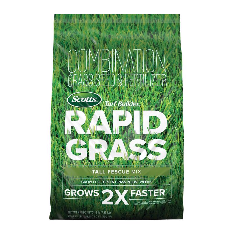 SCOTTS - Scotts Turf Builder Rapid Grass Tall Fescue Grass Sun or Shad